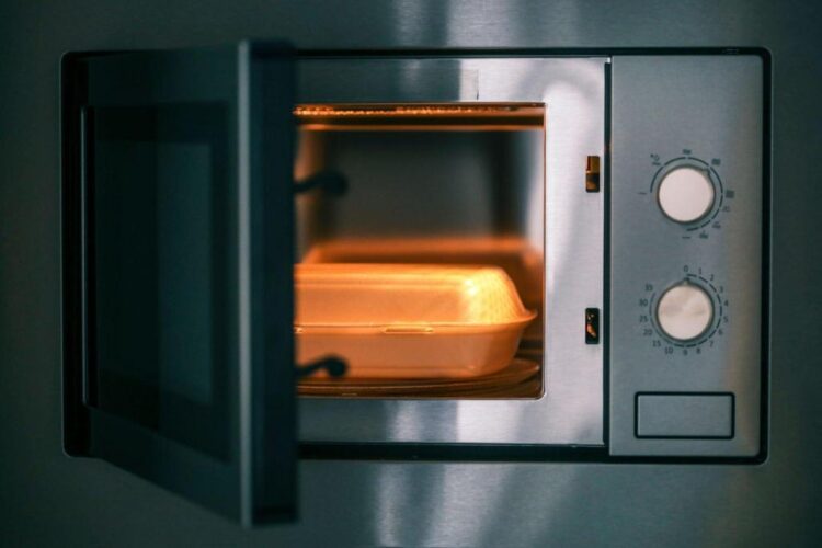 Can You Microwave Plastic Takeout Container Boxes? (Reheating Takeout ...