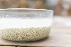 What Happens if You Eat Moldy Rice? Is It Still Safe to Eat ...