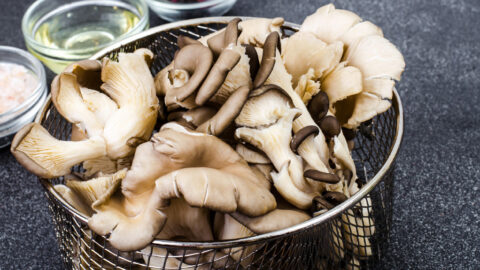 White Mold on Rice: Is It Safe To Eat Moldy Rice? Explained for ...