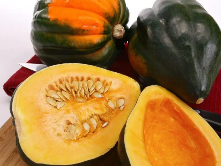 My Acorn Squash Turned Orange: Is It Still Good or Go Bad? - KitchenBun.com