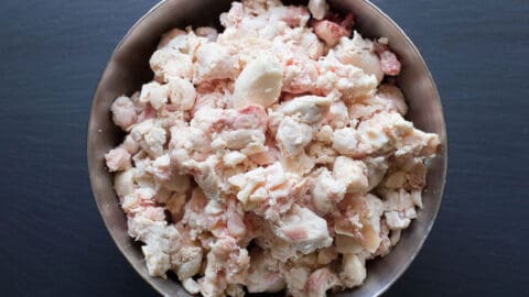 How Long Does Suet Last? Exploring the Shelf Life of This Popular ...