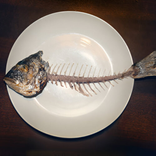 How to Eat Canned Sardines with Bones: A Complete Guide for Beginners ...