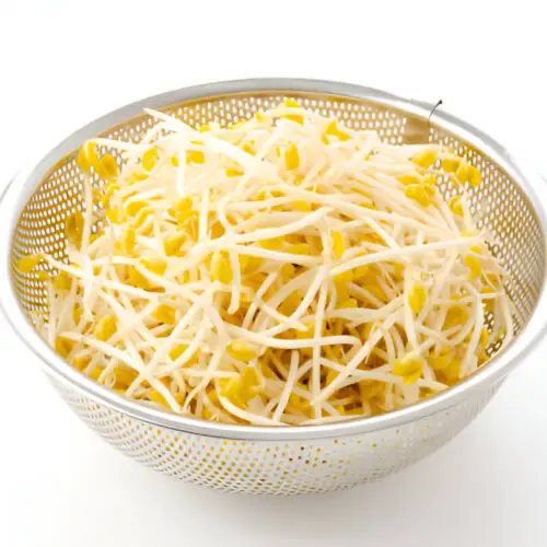 Ruby vs. Tawny Port: Which One Deserves a Spot in Your Glass ...